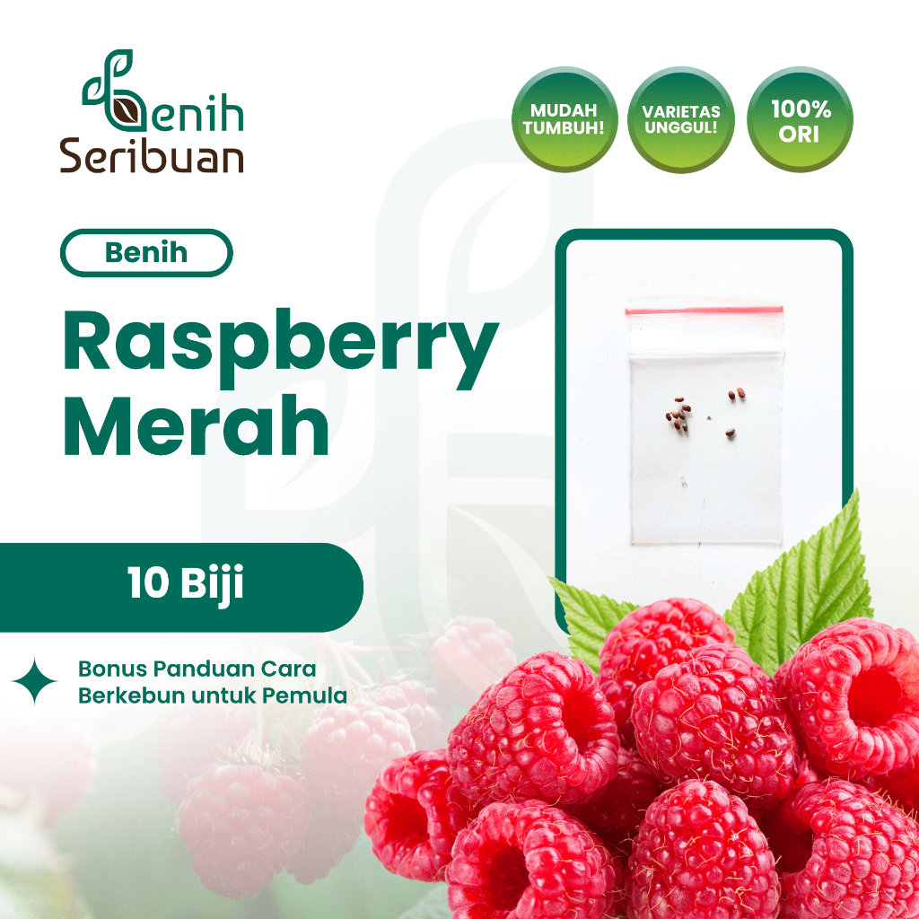 Jual 10 Benih Bibit Raspberry Merah Tanaman Buah Buahan Rasberry Red ...