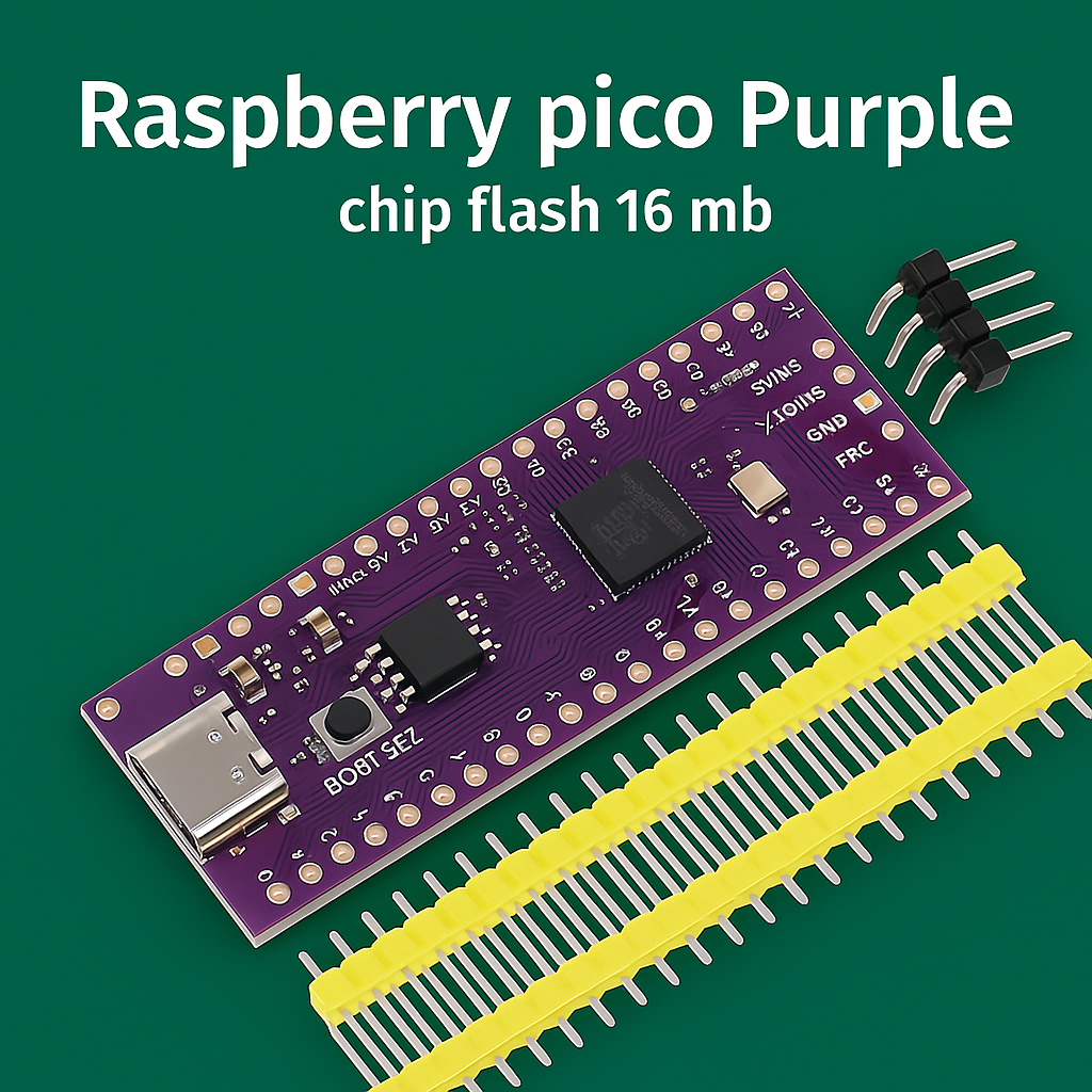 Jual raspberry pi pico rp2040 type-c 16mb purple | Shopee Indonesia