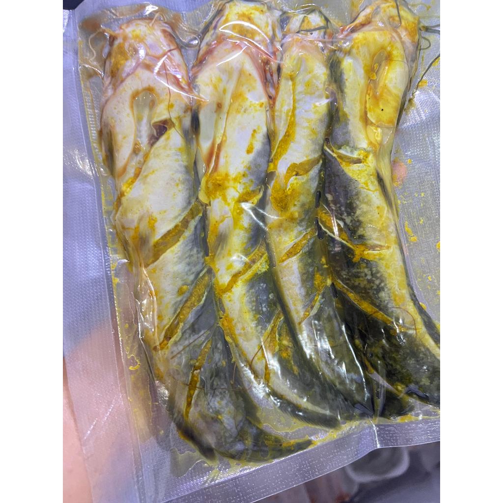 Jual Ikan Lele Bumbu Kuning /Lele Bumbu Marinasi | Sayur Freshmart ...