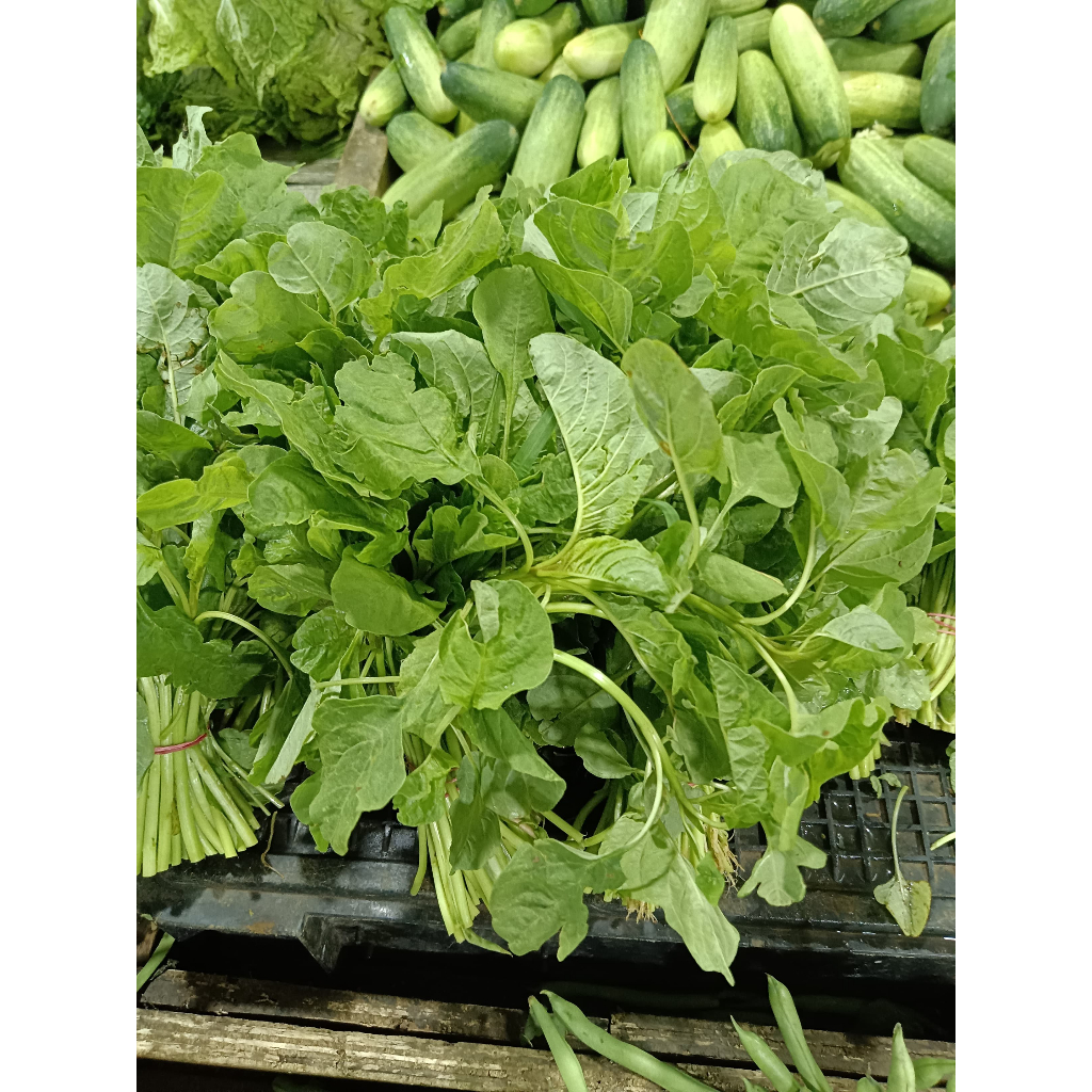 Jual Sayur Bayam Hijau Segar 1 Ikat | Shopee Indonesia