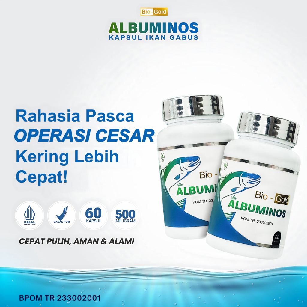 Jual BIO GOLD Albuminos Isi 60 Kapsul Ikan Gabus Sari Kutuk Albumin 500 ...