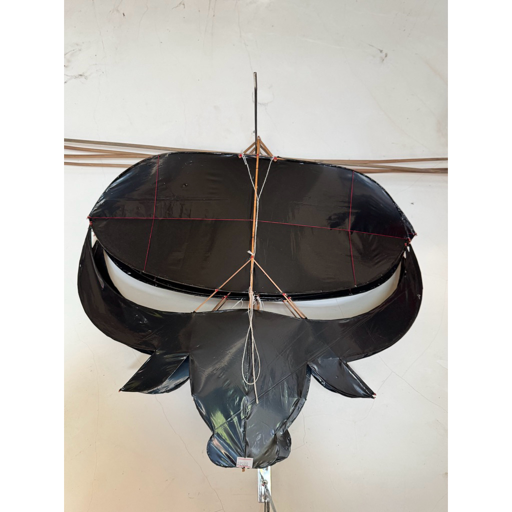 Jual Layangan Banteng Mini sayap mentah 50 cm sudah tes terbang ...