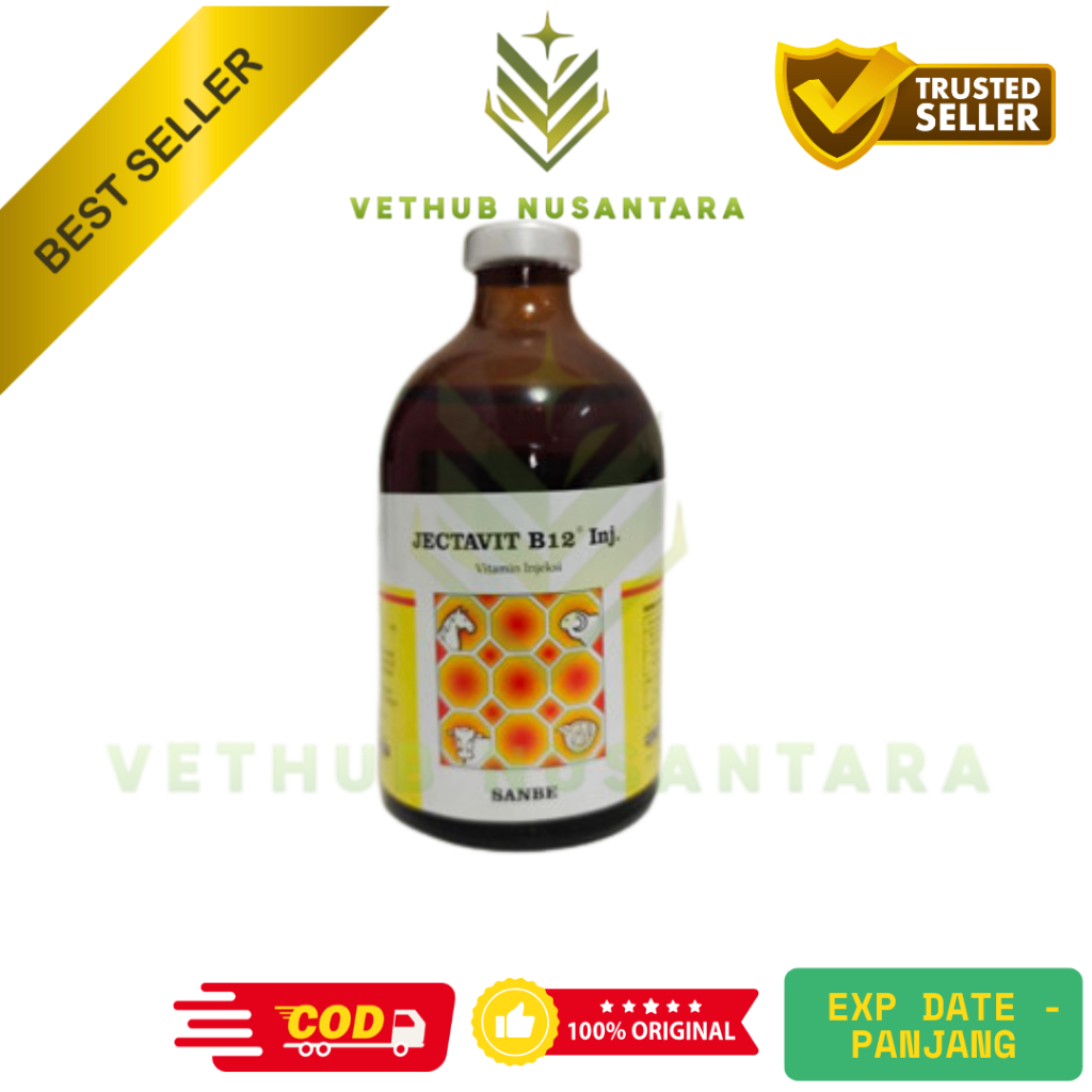 Jual JECTAVIT B12 100 ml Vitamin B12 Injeksi Sapi Kuda Babi Kambing ...