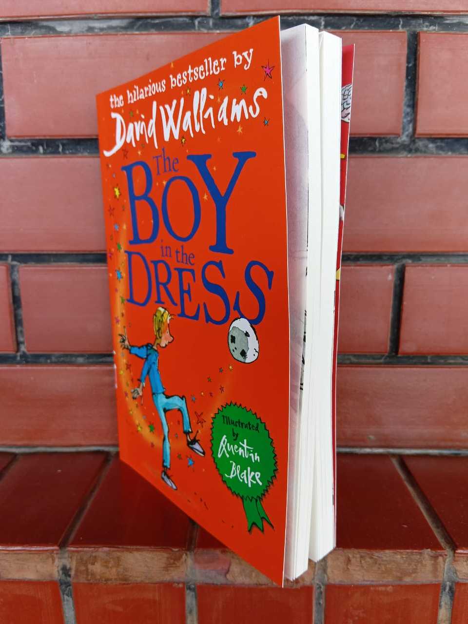 Jual David Walliams The Boy In The Dress Buku Cerita Anak Anak Bahasa ...