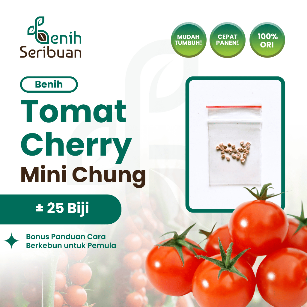 Jual 25 Bibit Tomat Cherry Merah Mini Chung Benih Sayuran Rampai Chery ...