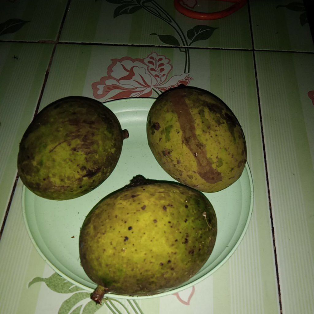 Jual buah limus/pakel segar 1 kg | Shopee Indonesia