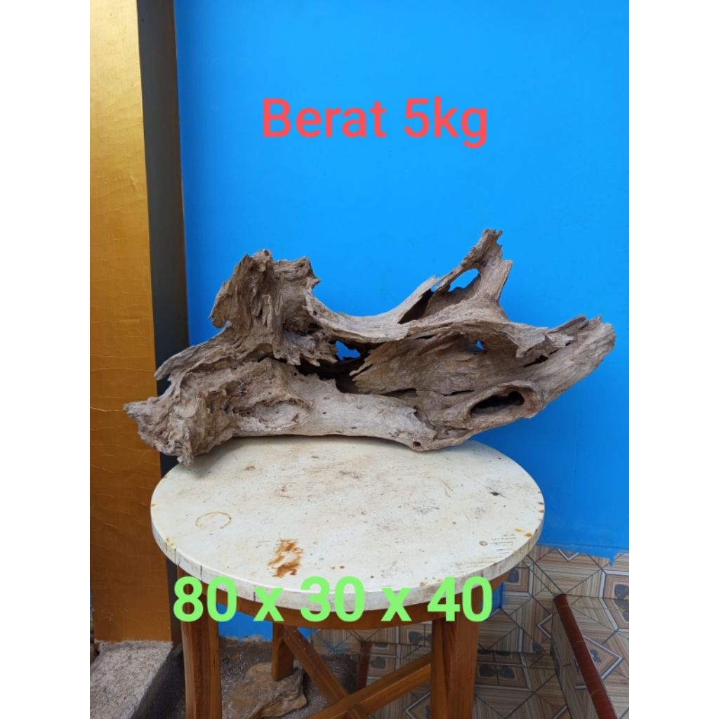 Jual kayu rentek/ kayu aquascape/kayu aquarium/ kayu media anggrek size ...