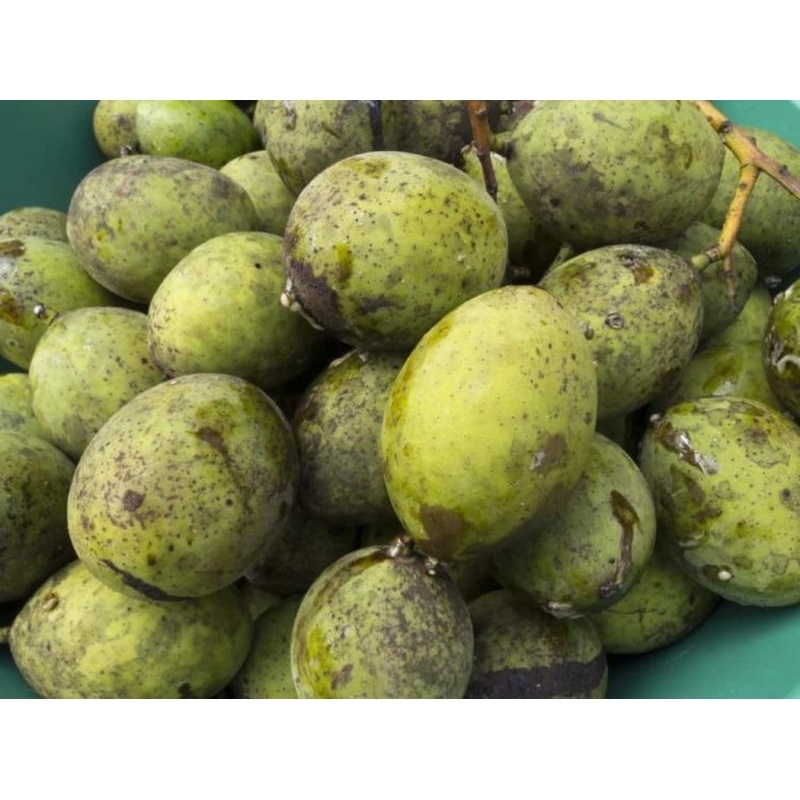 Jual buah limus fresh segar /1kg | Shopee Indonesia