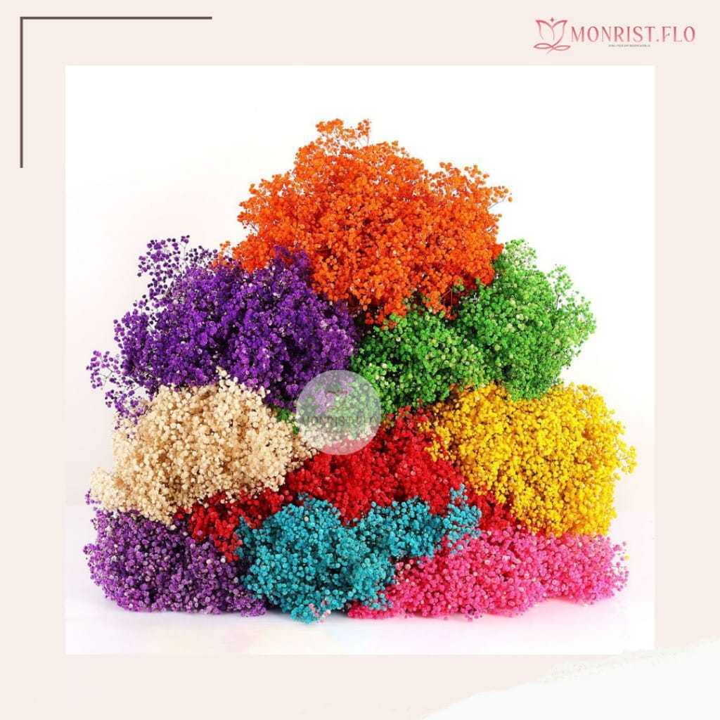 Jual Preserved Baby Breath Flower / Bunga Babybreath Awet Dekorasi ...