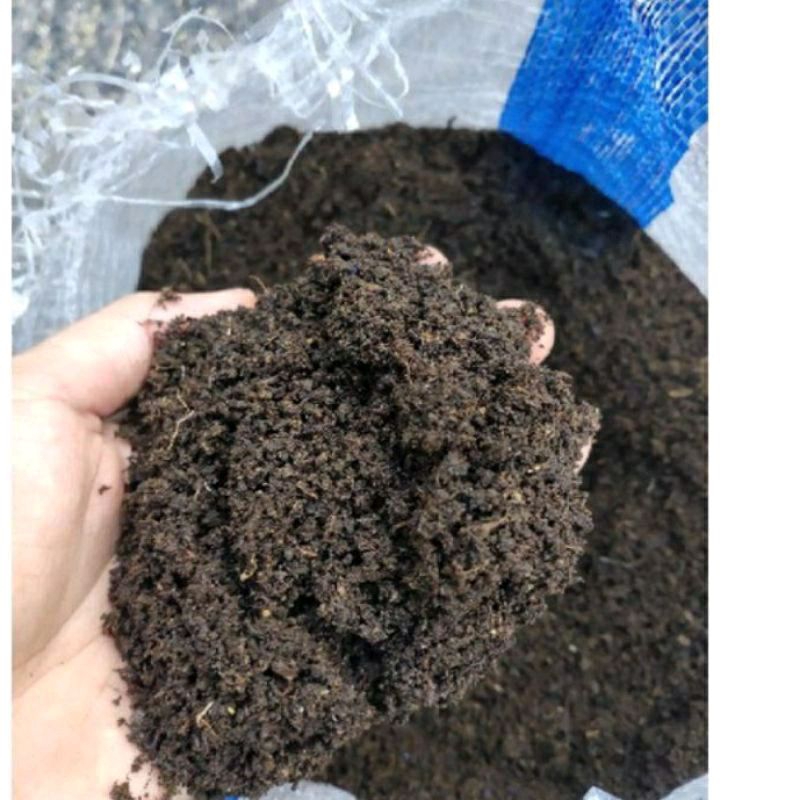 Jual Pupuk Kotoran Sapi - Kohe Kandang Sapi Pupuk Kotoran Sapi kemasan ...