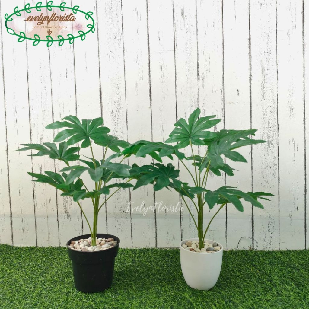 Jual Pohon Hias Artificial Daun Aralia Pot Dasar Hitam & Pot Melamine ...