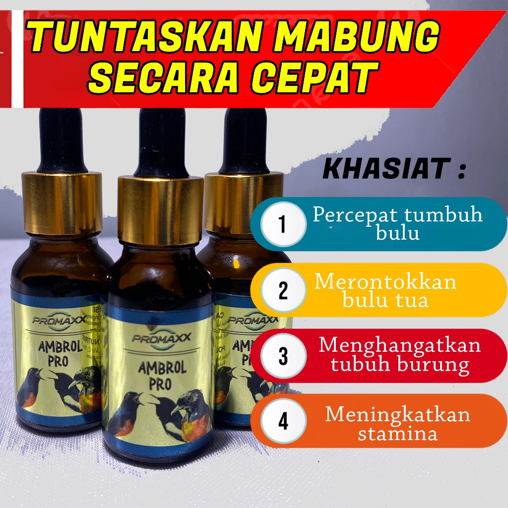 Jual PROMAXX AMBROL PRO VITAMIN UNTUK MAKSIMALKAN PROSES MABUNG DENGAN ...