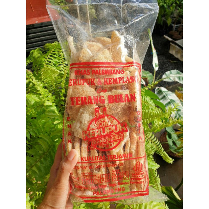 Jual Kemplang Bakar Kemplang Tunu Palembang | Shopee Indonesia