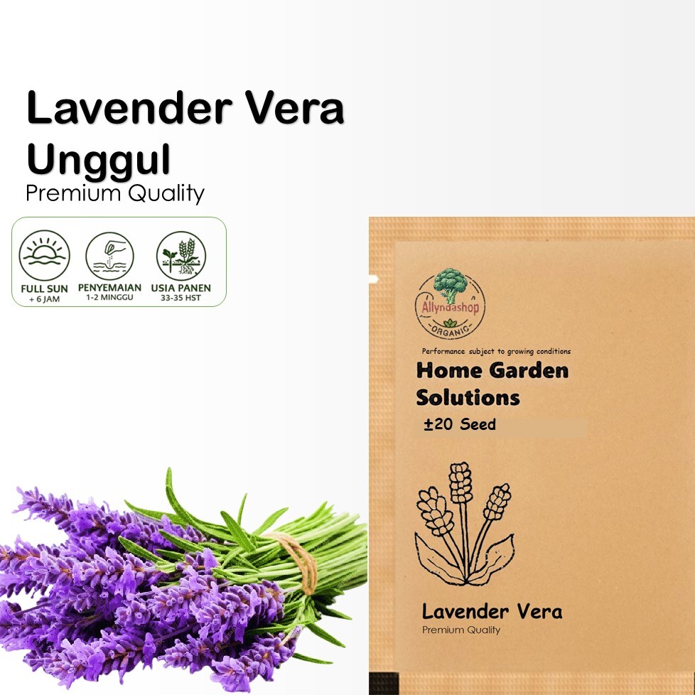 Jual 30 Biji - Bibit Benih Bunga Lavender Vera Unggul | Shopee Indonesia