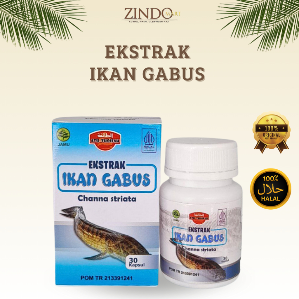 Jual KAPSUL EKSTRAK IKAN GABUS KUTUK ISI 30 ATH-THOIFAH ASLI | Shopee Indonesia