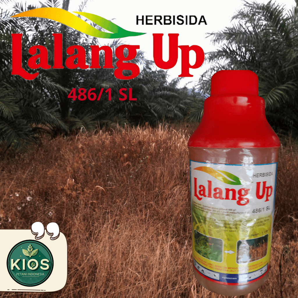 Jual RACUN RUMPUT PALING AMPUH Herbisida Lalang Up 486/1 SL - ORIGINAL ...