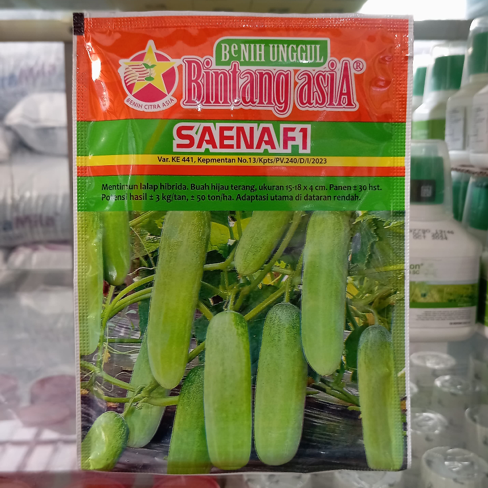 Jual Benih Timun Lalap Saena f1 20gram | Shopee Indonesia