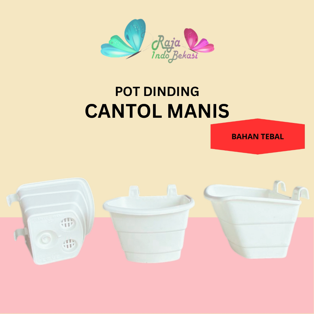Jual Pot Dinding Tempel Cantol TIP Manis Putih - Pot Dinding Tempel ...