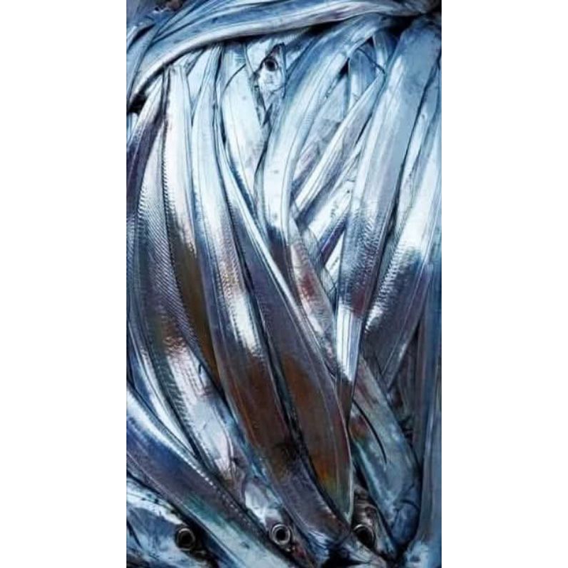 Jual Ikan laut layur segar fresh | Shopee Indonesia