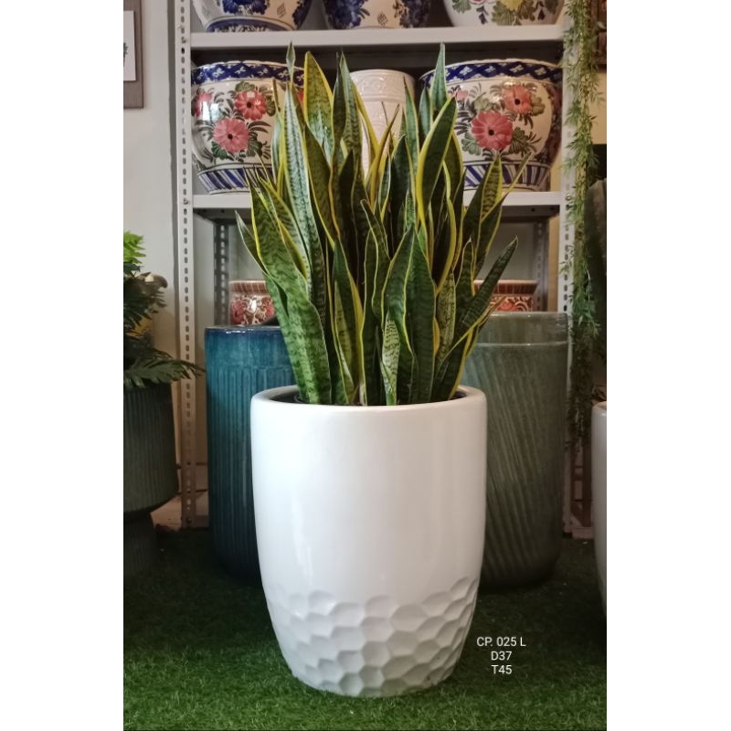 Jual Pot Import Putih Tinggi Tersedia 3 Ukuran (Harga yg Tertera belum ...