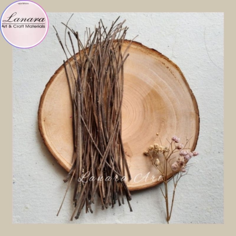 Jual Ranting halus pohon kecil kayu dekorasi mahar craft kerajinan ...