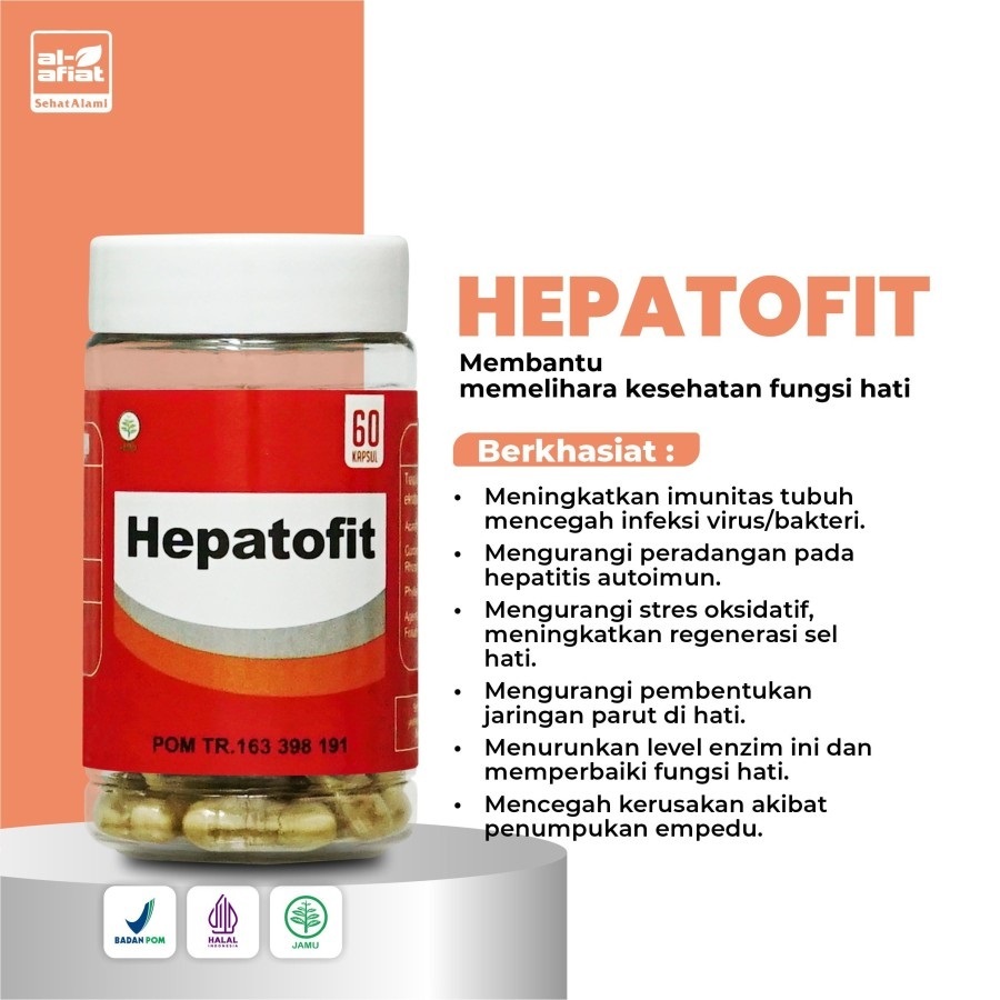 Jual HEPATOFIT Herbal untuk Liver Hati Hepatitis | Shopee Indonesia