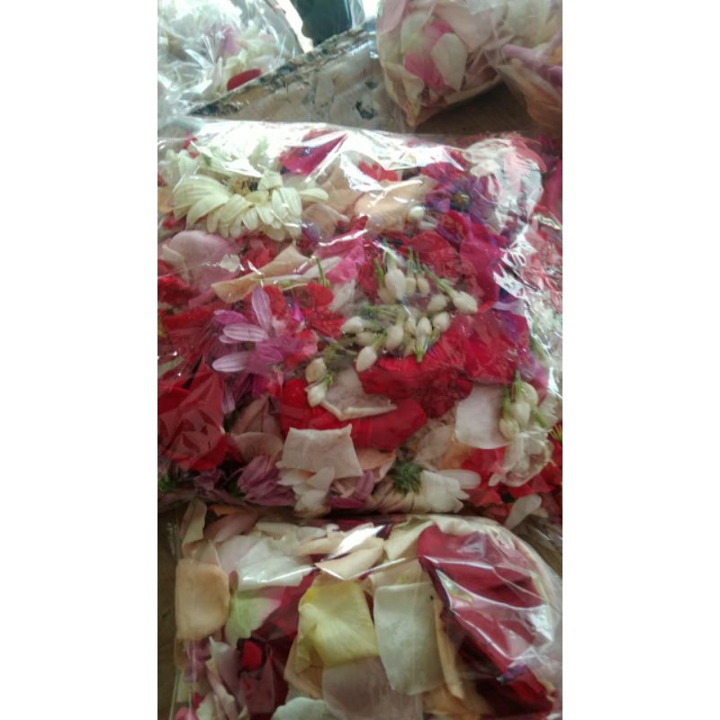 Jual BUNGA TABUR 12 MACAM (TERMASUK MELATI) | Shopee Indonesia