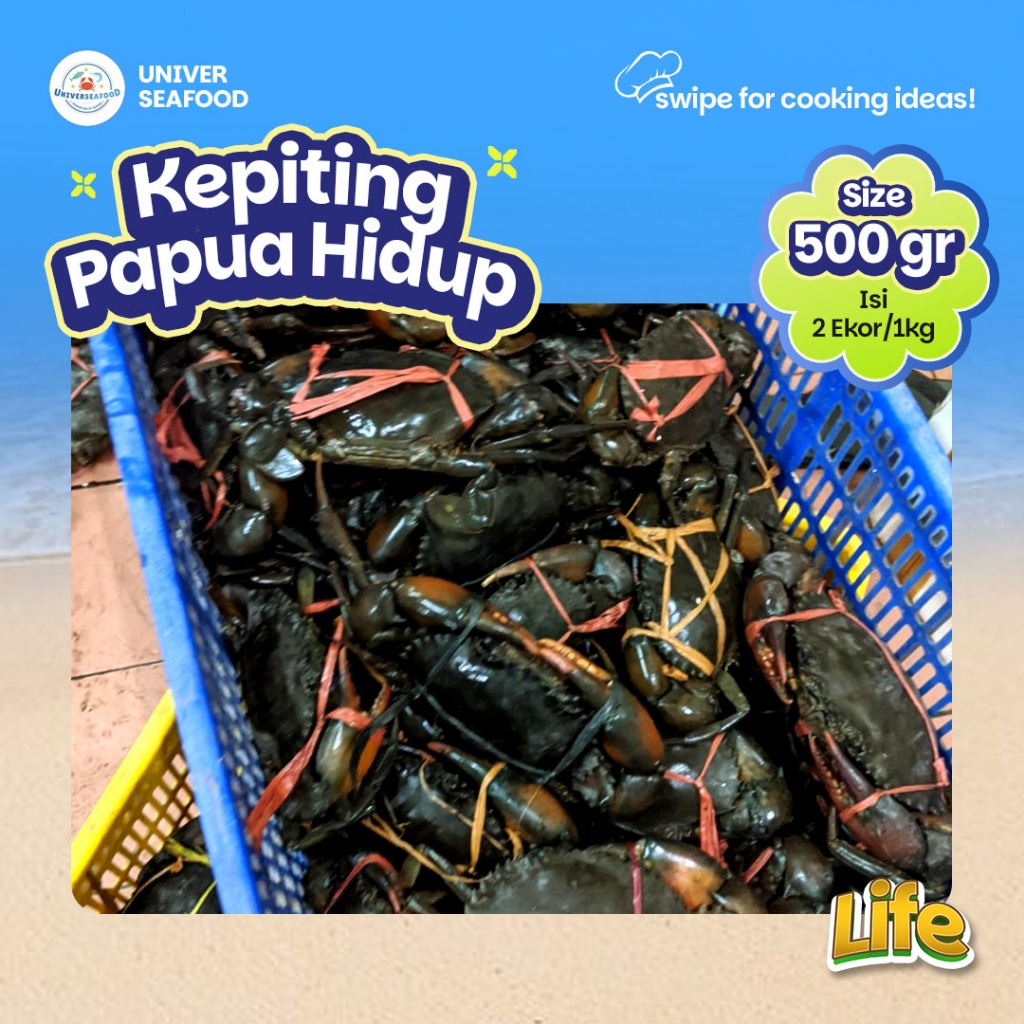 Jual Kepiting Papua Jantan Hidup 500gr/kg | Shopee Indonesia