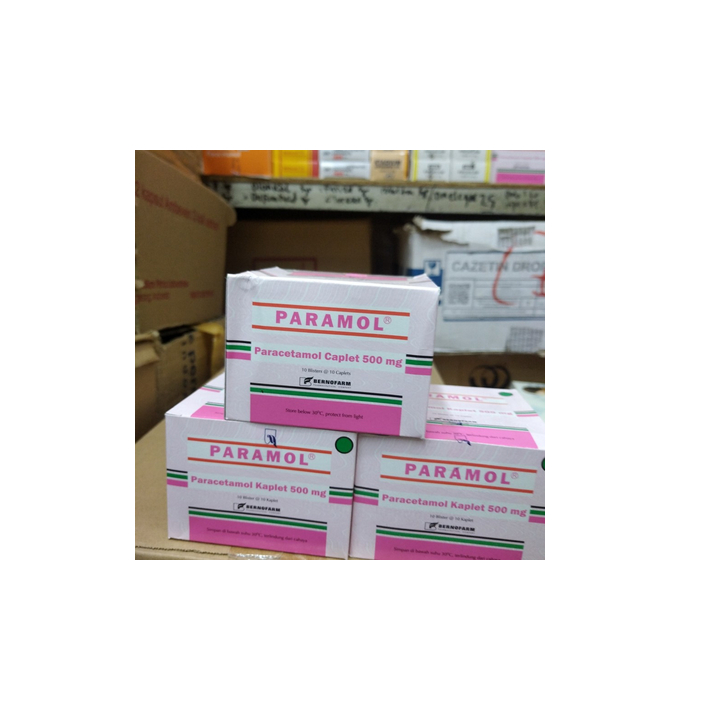Jual PARAMOL 500 MG BOX 10 KAPLET | Shopee Indonesia