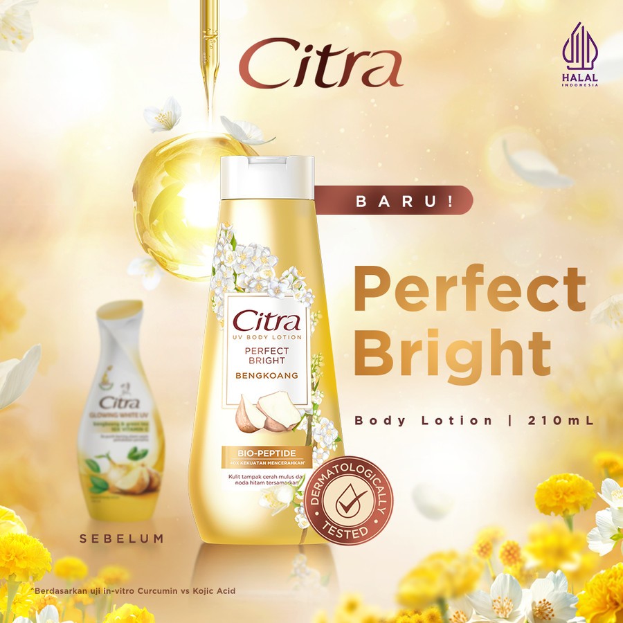 Jual Citra UV Body Lotion Perfect Bright Bengkoang | Shopee Indonesia