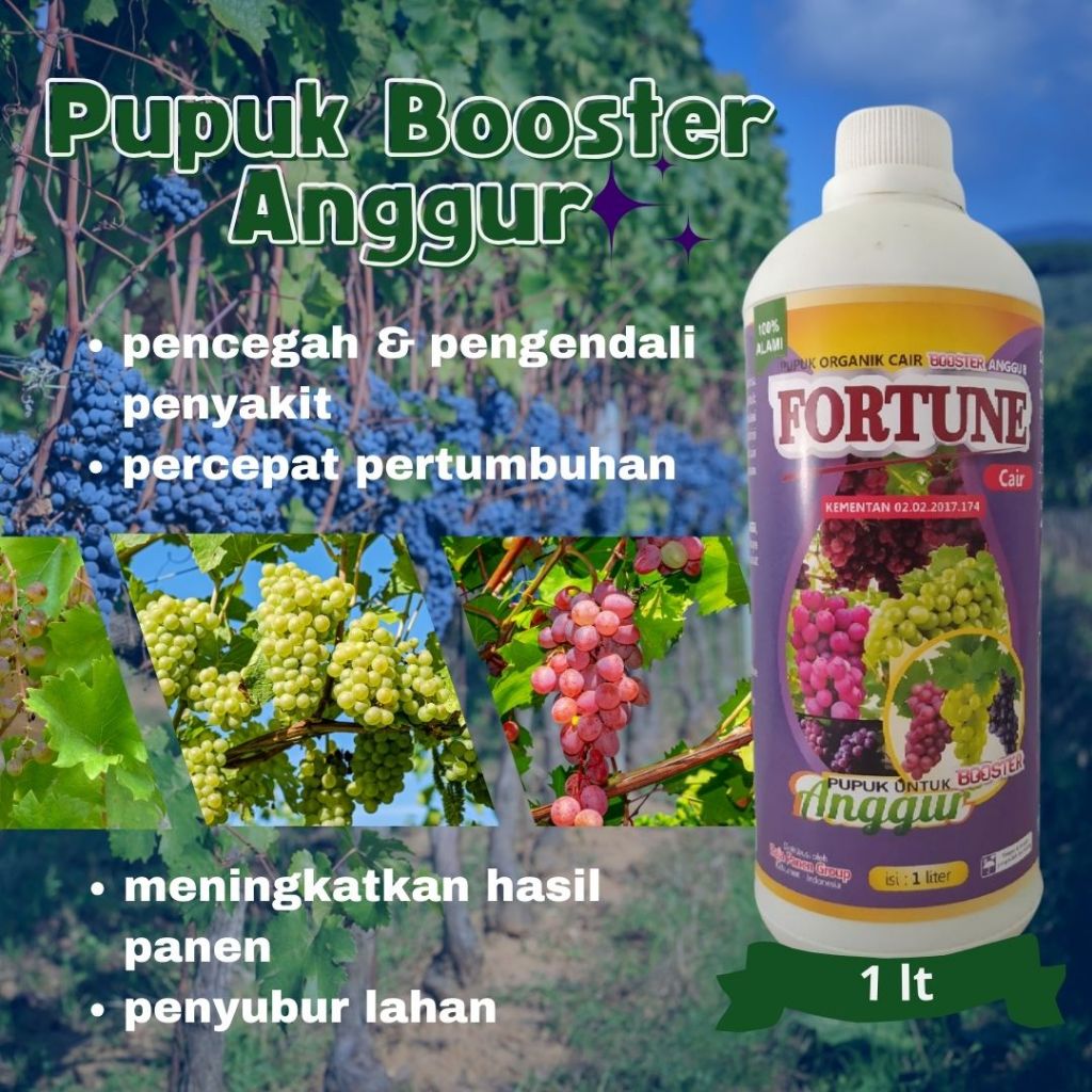 Jual Pupuk Anggur Masa Pertumbuhan, Fortune Pupuk Organik Cair Anggur 1 ...