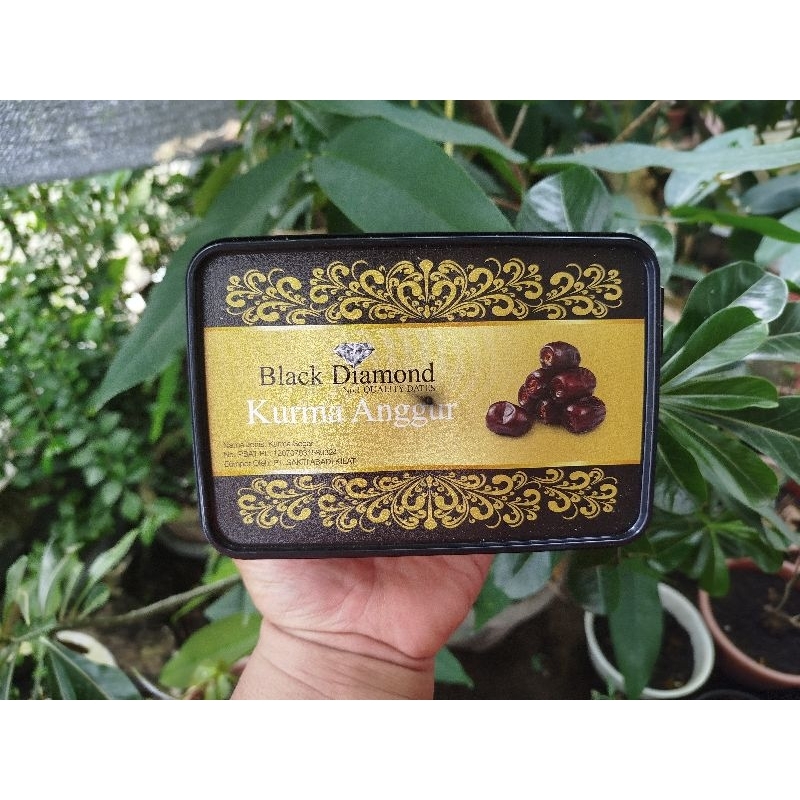 Jual Black Diamond Kurma Anggur Kemasan 550gram | Shopee Indonesia