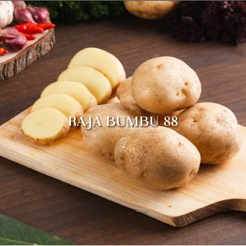 Jual KENTANG DIENG ukuran JUMBO | Shopee Indonesia