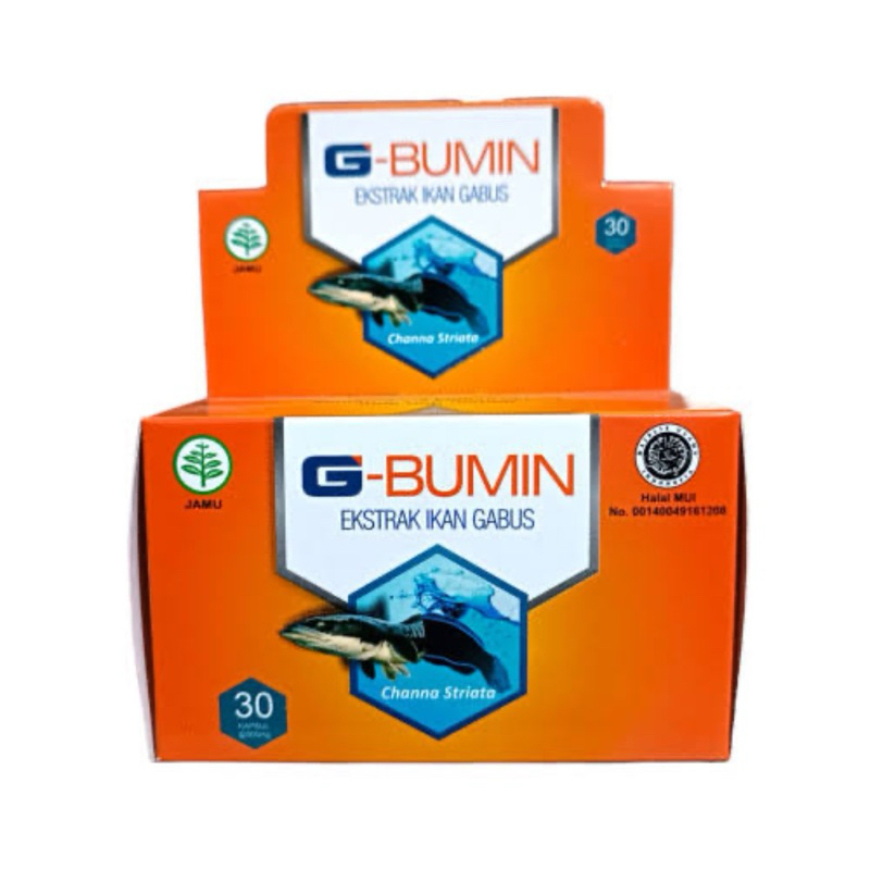 Jual G-Bumin Kapsul Ikan Gabus / Ikan Kutuk / Ikan Channa Striata Isi ...