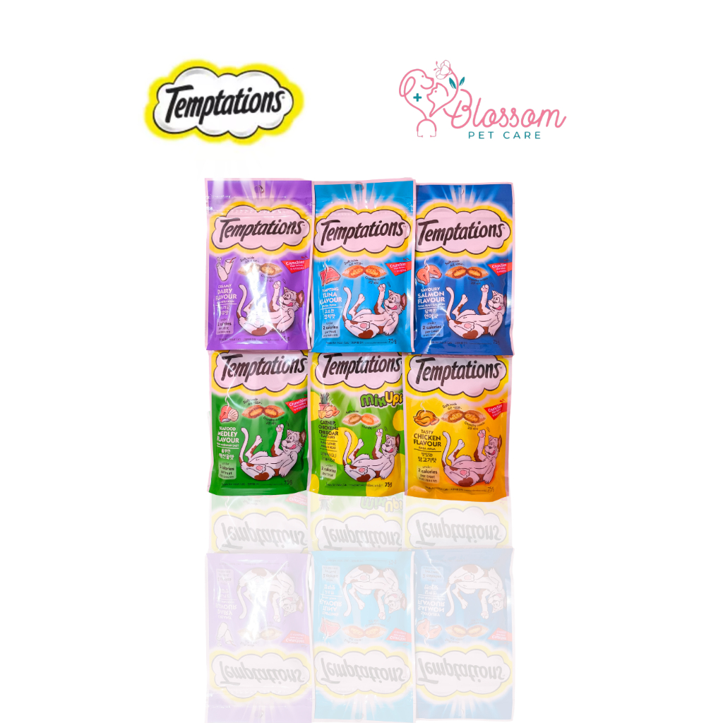 Jual Temptation Snack Kucing 75g | Rasa ayam | Rasa Tuna | Rasa Salmon ...