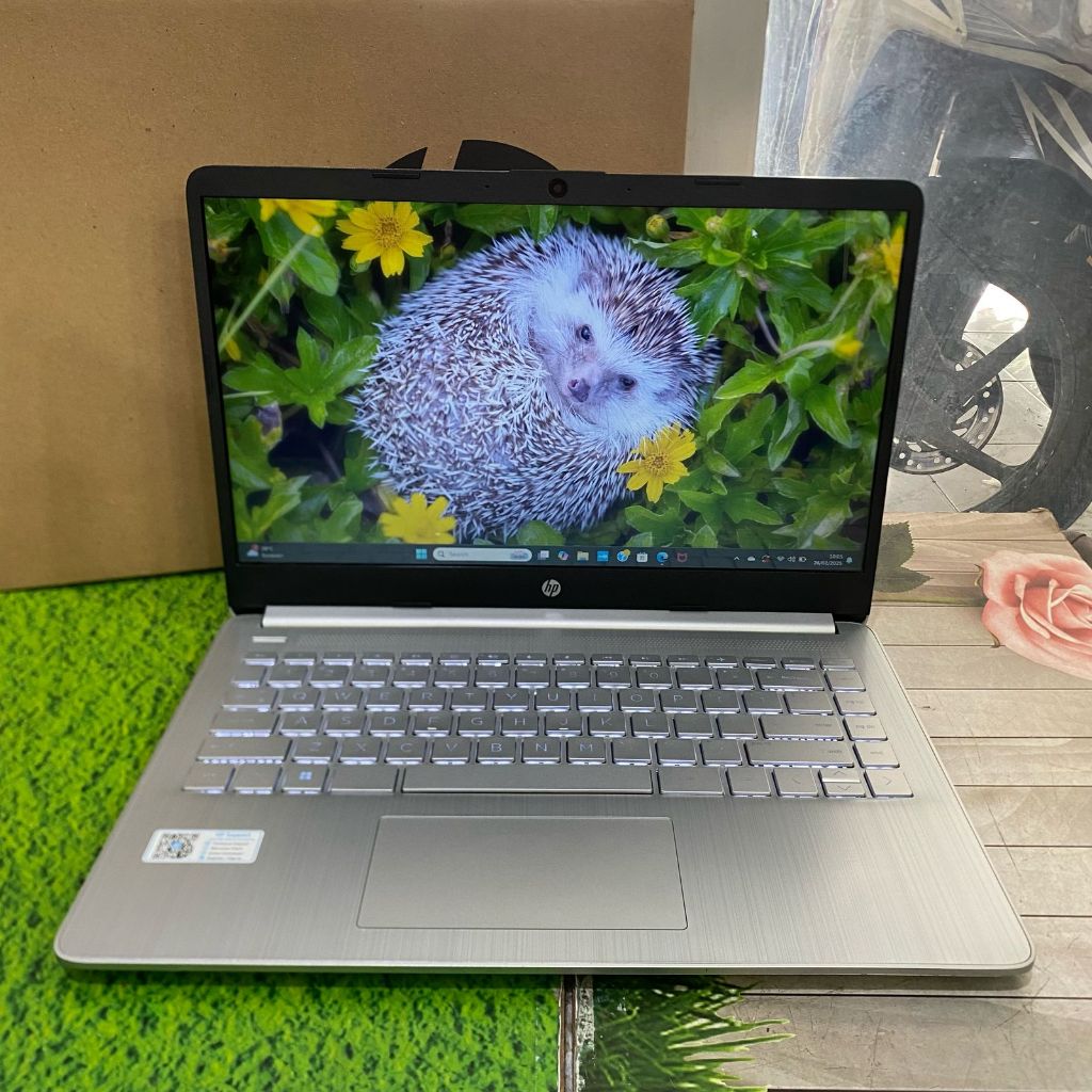 Jual New HP 14s-DQ0510TU Celeron N4120 4GB 256GB 14" HD Windows 11 ...