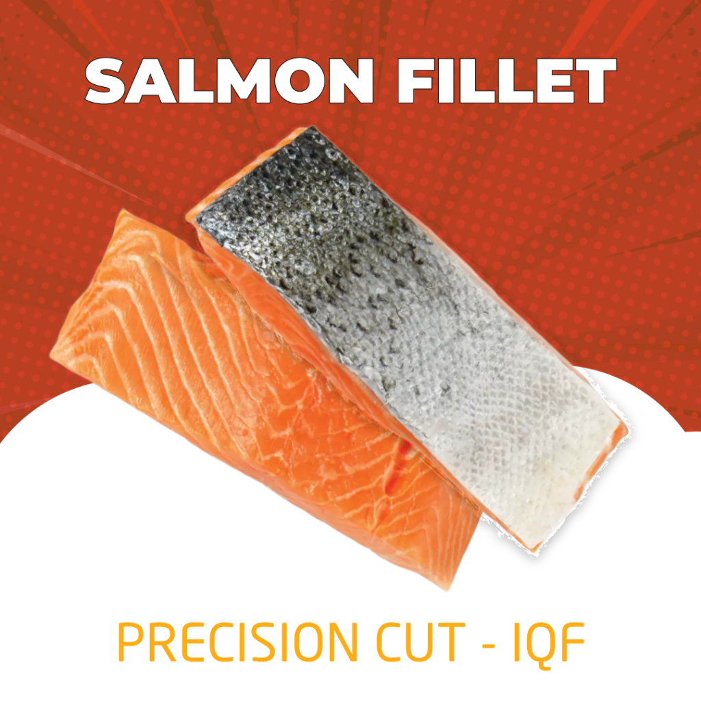 Jual Salmon Fillet 1 KG IQF Premium Gourmet Grade | Shopee Indonesia