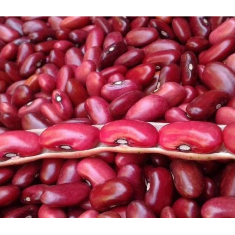 Jual Kacang Merah Kupas -250gram | Shopee Indonesia