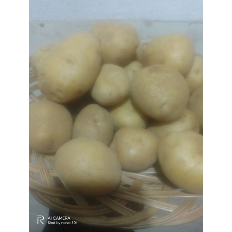 Jual kentang dieng ukuran sedang | Shopee Indonesia