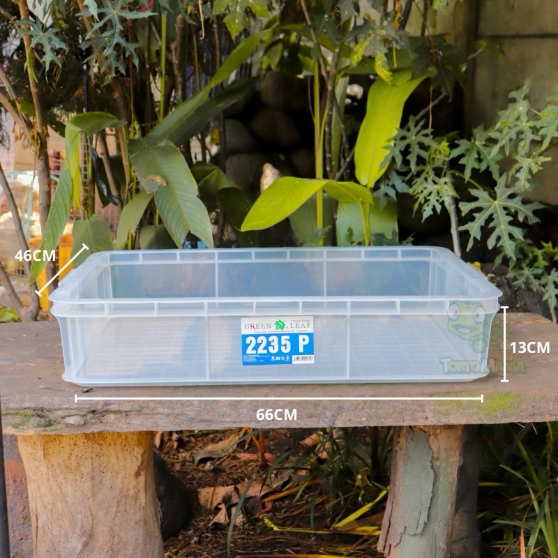 Jual Box Container green leaf 2235 P BEKAS / kandang torto reptil ...