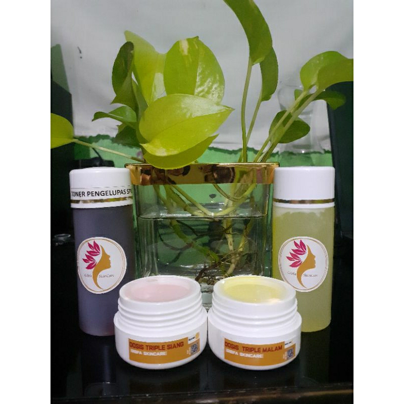 Jual PAKET DOSIS TRIPLE UNTUK WAJAH SULIT PUTIH KEBAL SKINCARE FLEK ...