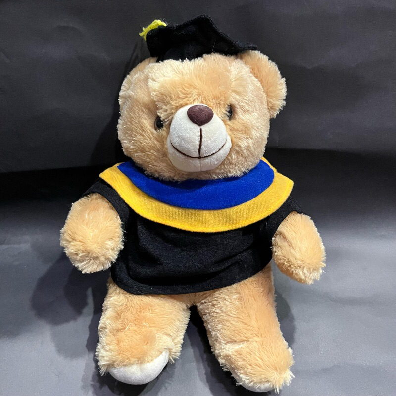 Jual Boneka Beruang Toga Wisuda Kecil | Shopee Indonesia