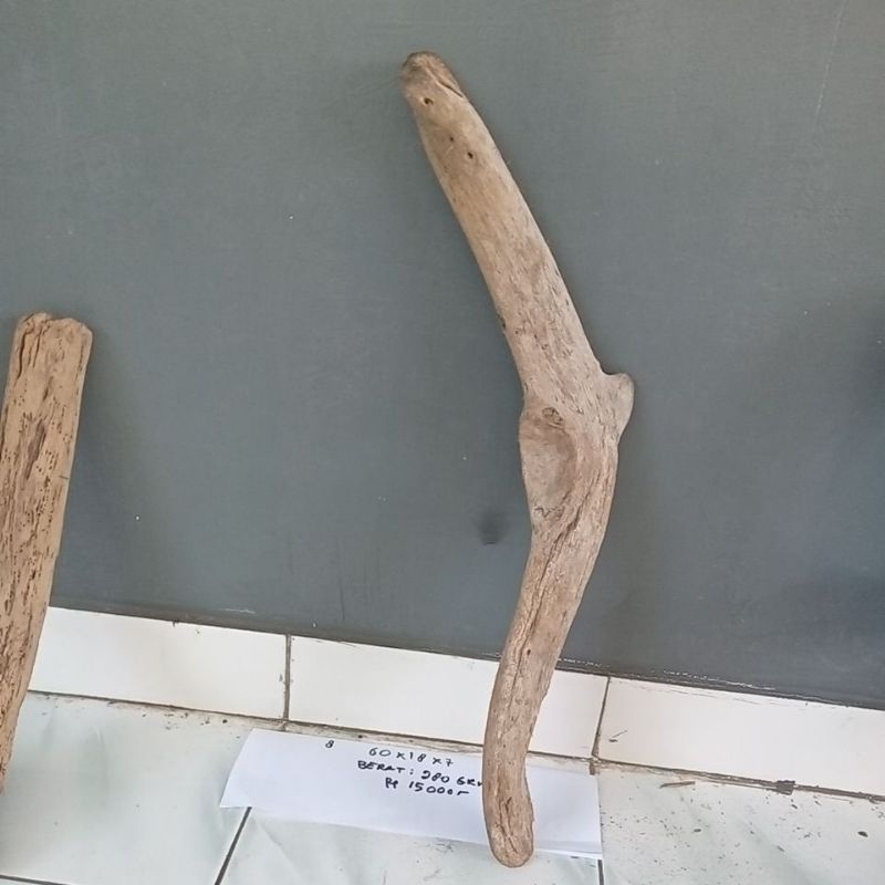 Jual Kayu santigi laut ,kayu tenggelam aquascape,hardscape | Shopee ...