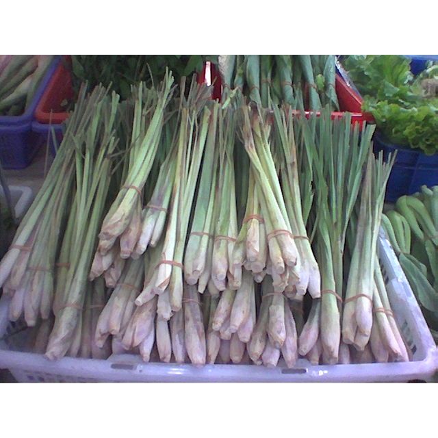 Jual Sereh Serai segar sayur hasil dari kebun langsung | Shopee Indonesia