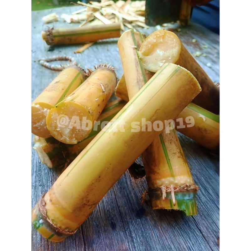 Jual Tebu kuning manis tebu kuning segar | Shopee Indonesia