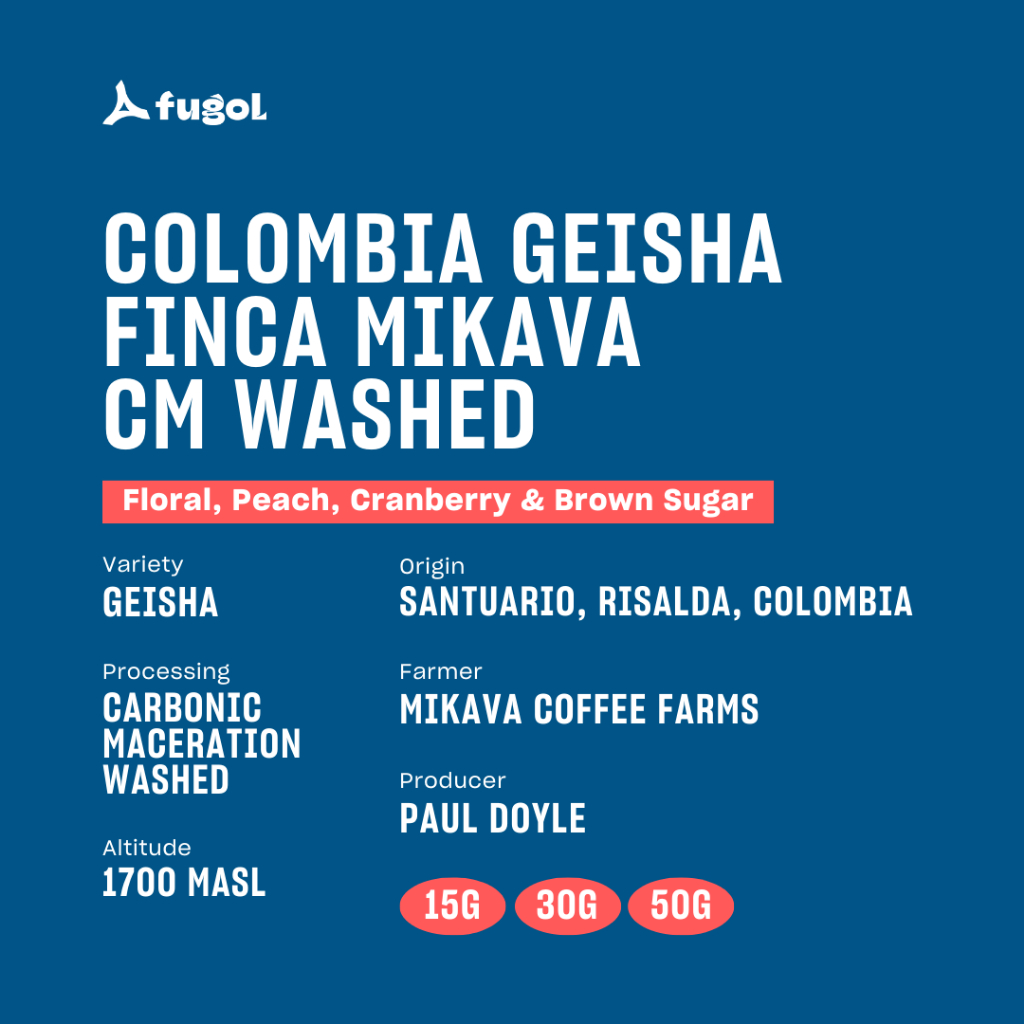Jual Biji Kopi Arabika Colombia Geisha Finca Mikava CM Washed Specialty ...