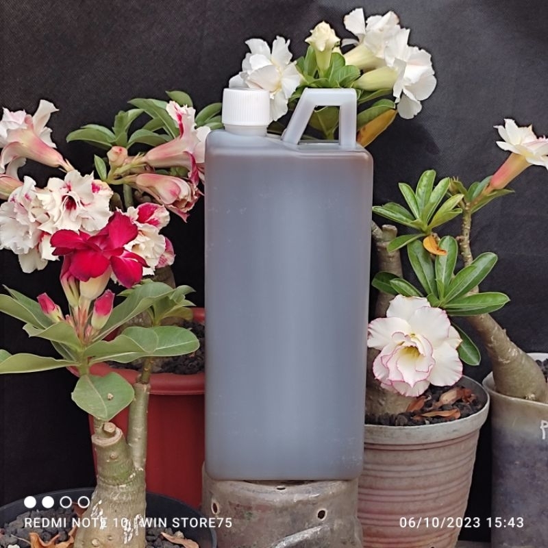 Jual PSB ( photosynthetic bacteria / fotosintesis bakteri ) 1 liter ...