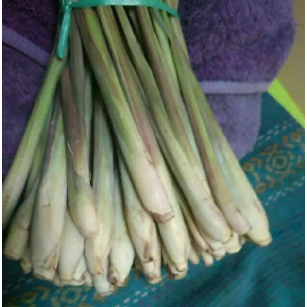Jual Sereh SEGAR 1 Ikat / Serai / Daun Sereh / Daun Serai / Sayur Segar ...