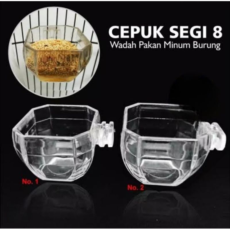 Jual Cepuk Segi 8 Eceran Elite Song | Shopee Indonesia