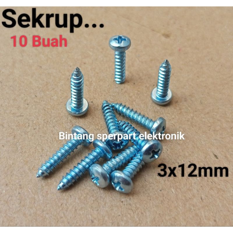 Jual (10 BUAH) SEKRUP 3mm BAUT SEKRUP 3X12mm UJUNG TAJAM BAUT SEKRUP ...